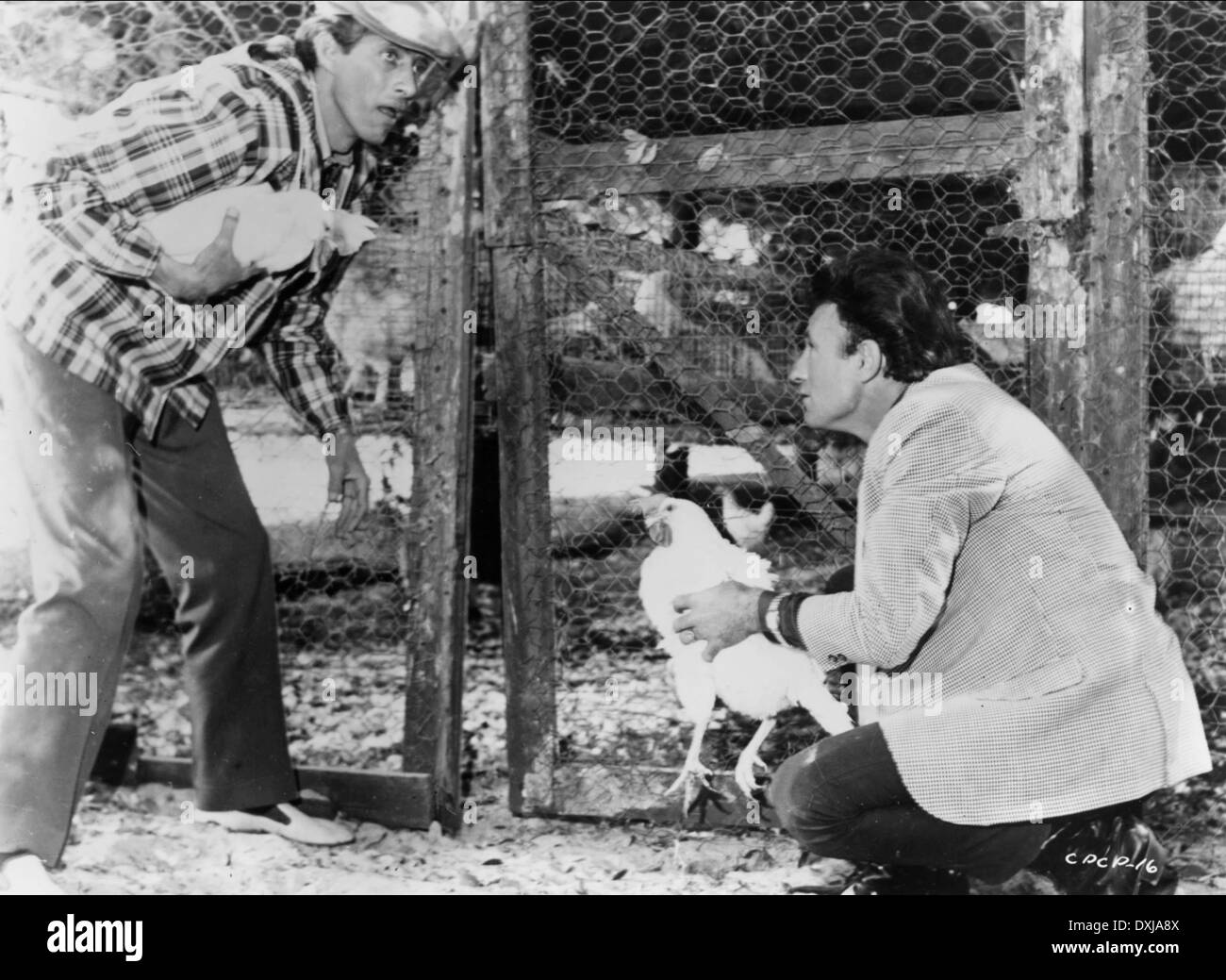1967 film movie hi-res stock photography and images - Alamy