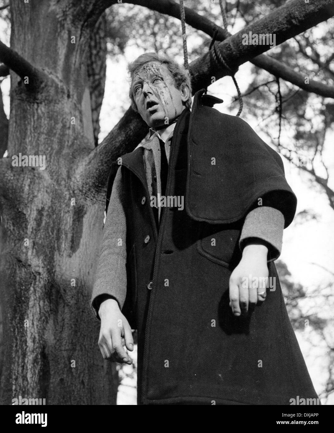 Mummys curse hi-res stock photography and images - Alamy