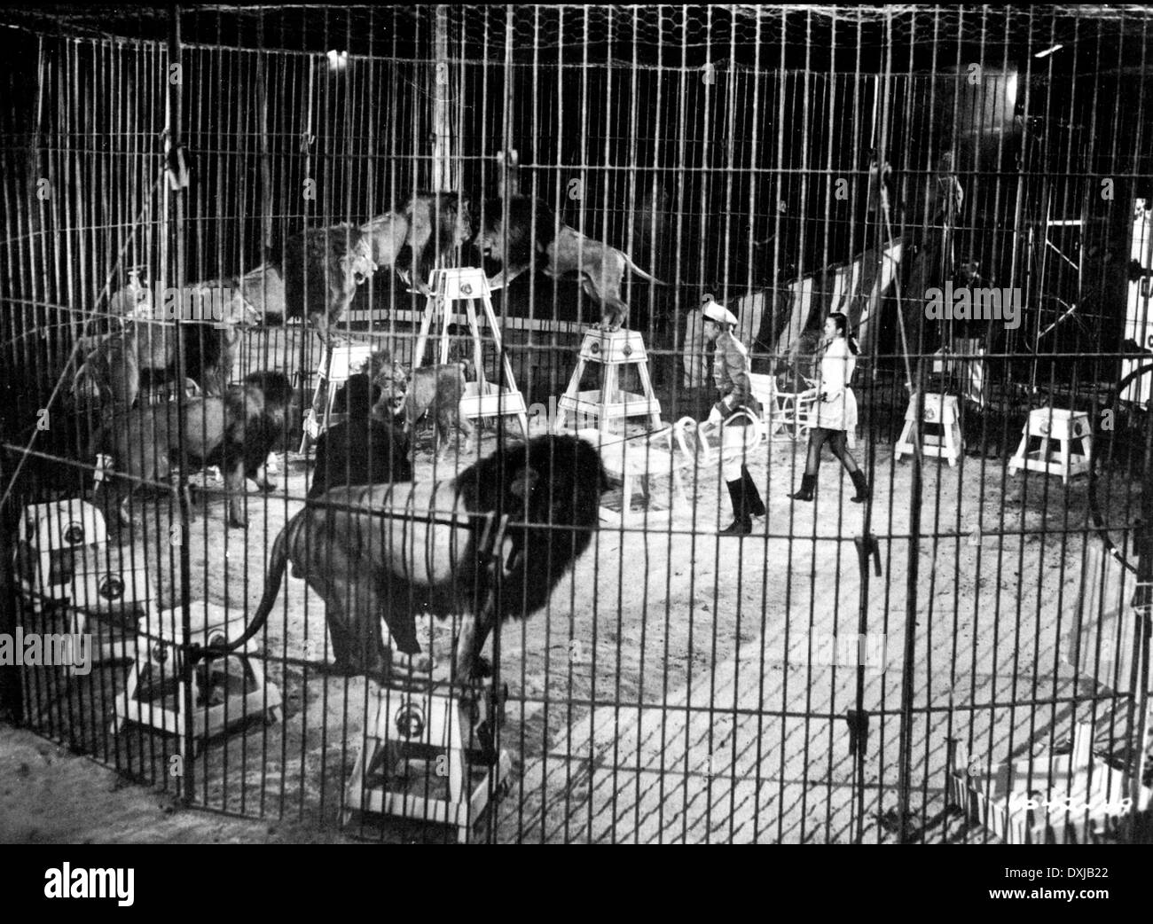 Fury film still Black and White Stock Photos & Images - Alamy