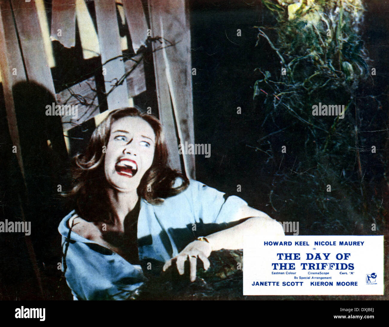 Day of the triffids film hi-res stock photography and images - Alamy