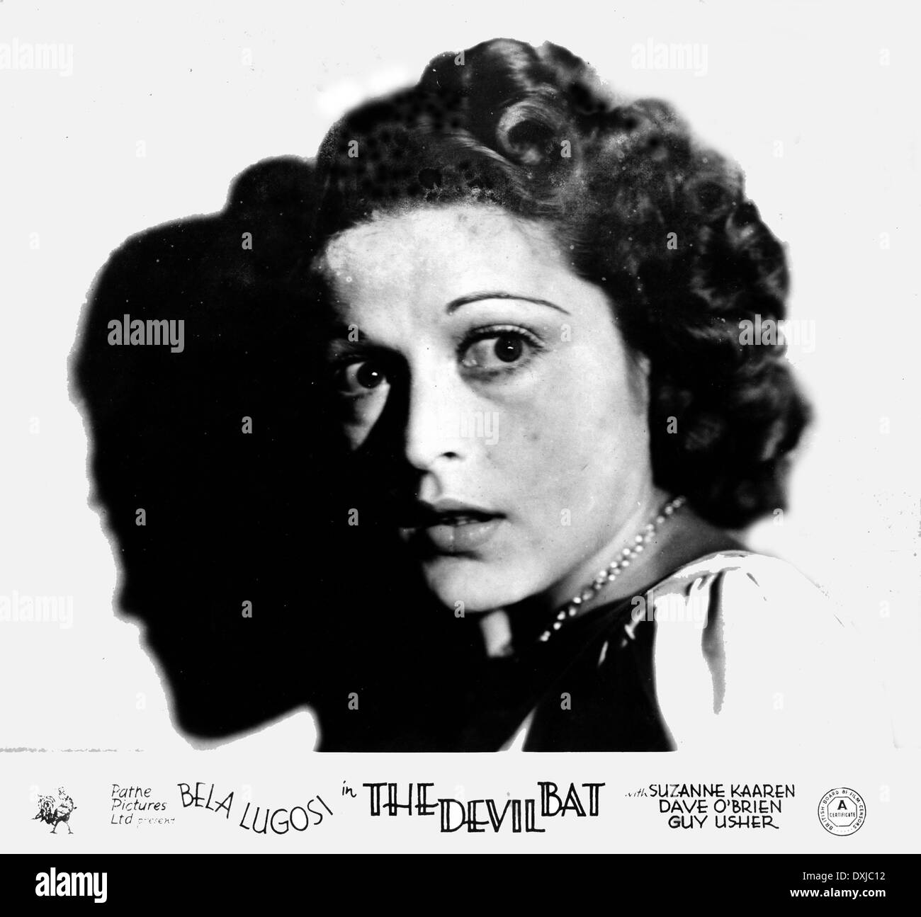 THE DEVIL BAT Stock Photo - Alamy