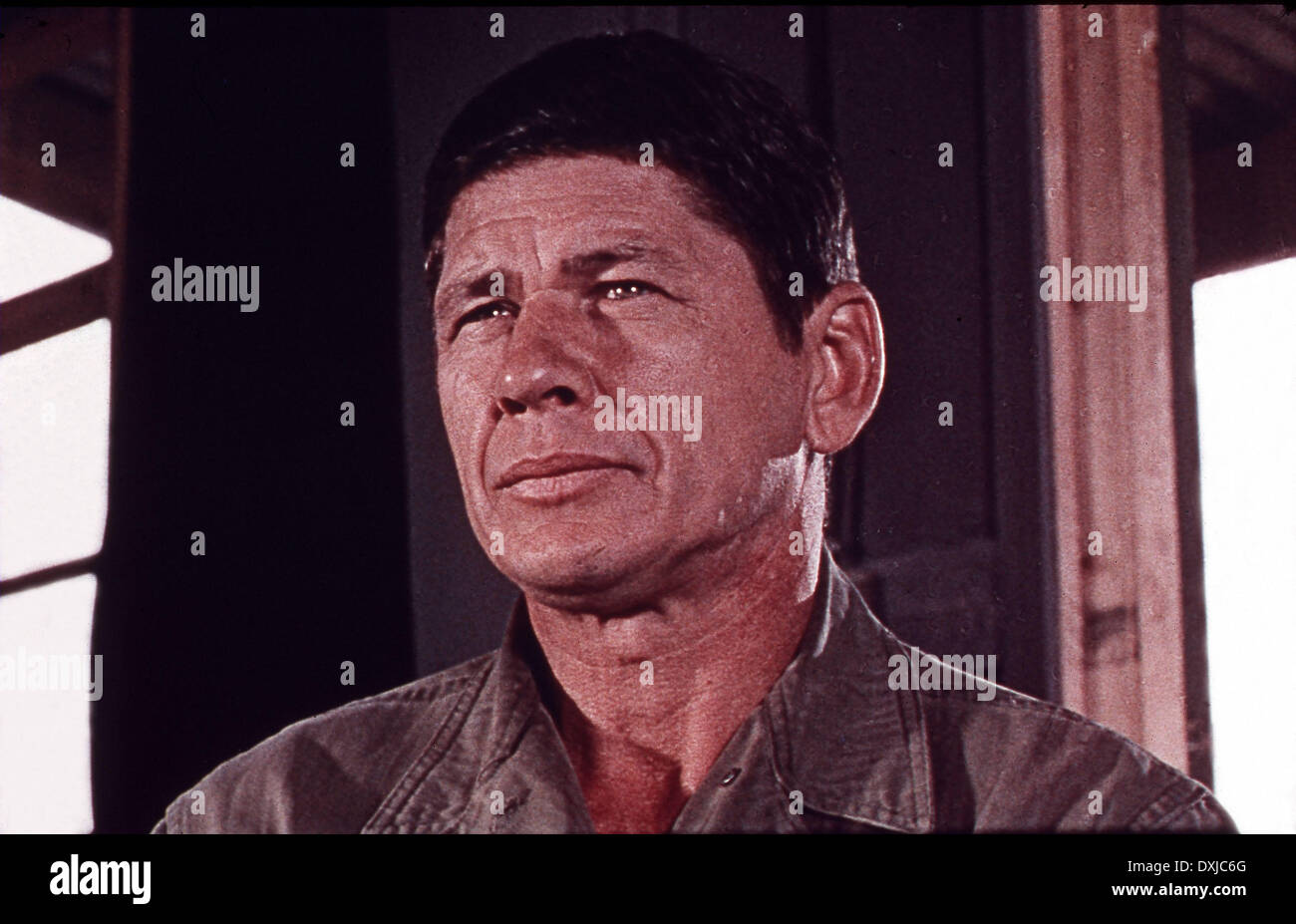 THE DIRTY DOZEN (US/UK 1967) CHARLES BRONSON Stock Photo - Alamy