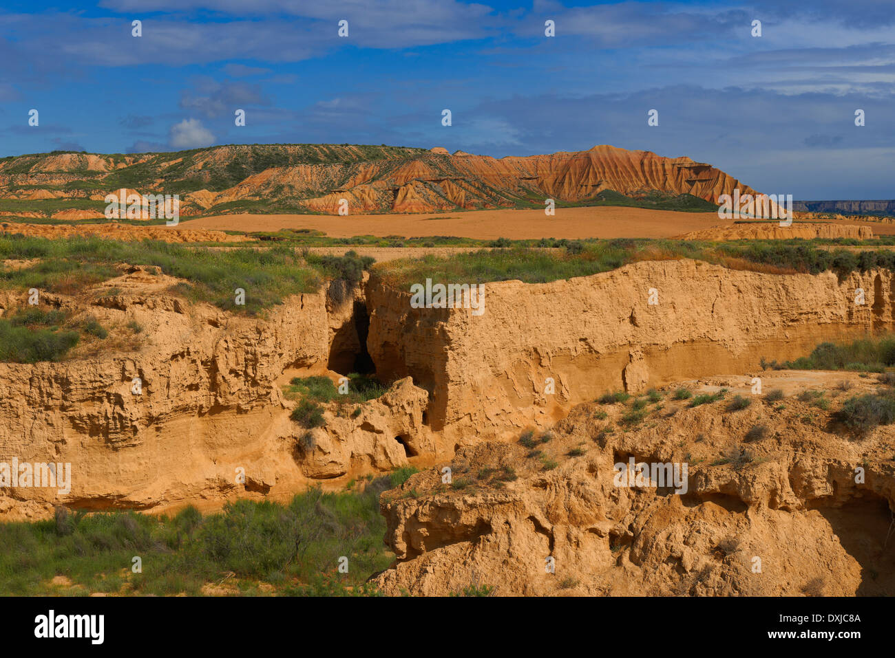 Bardenas Reales, Natural Park. Biosphere Reserve. Navarre. Spain Stock ...