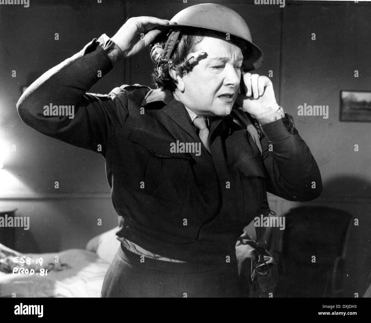 Bullshine hi-res stock photography and images - Alamy