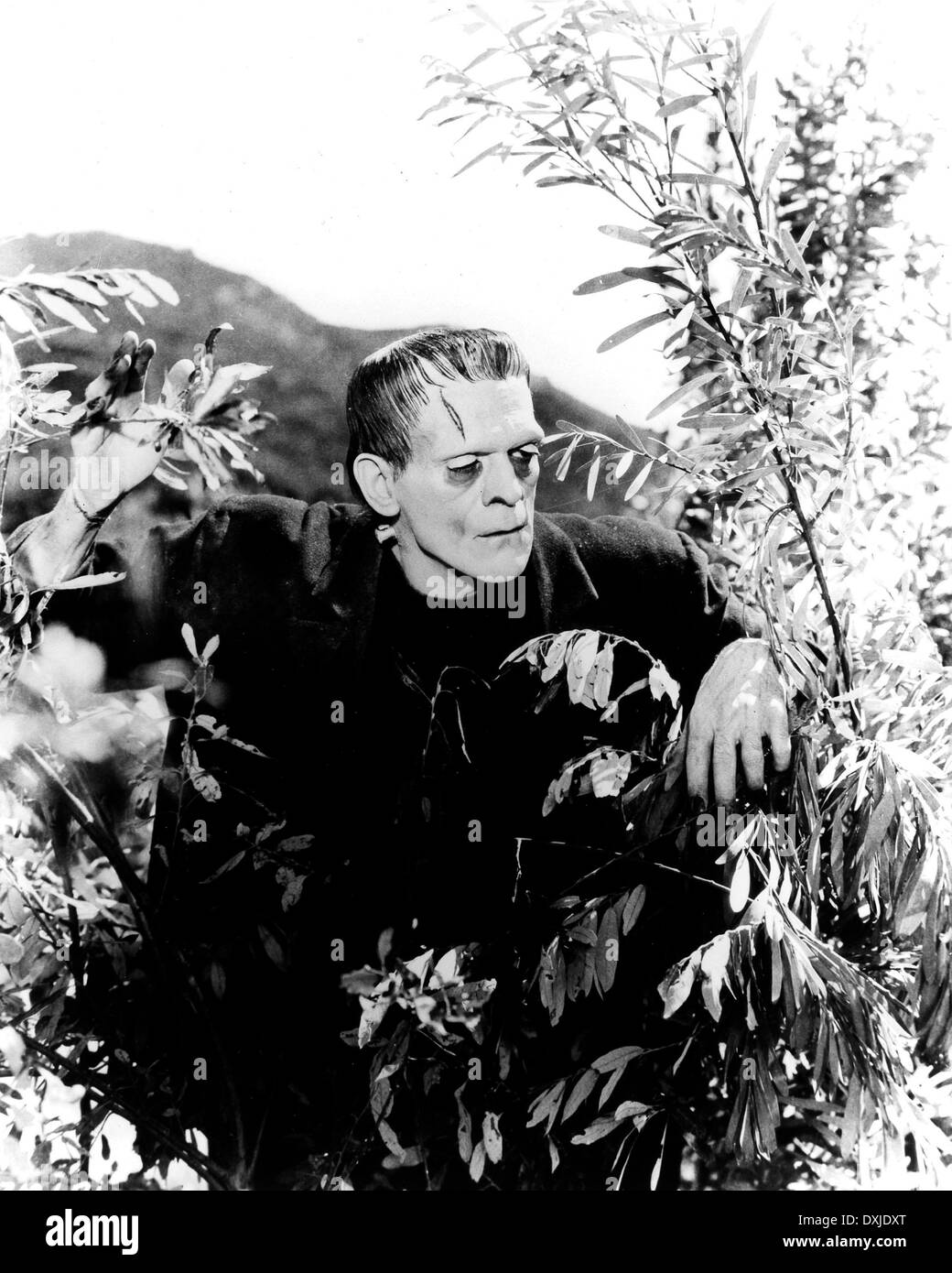 Frankenstein 1931 hi-res stock photography and images - Alamy