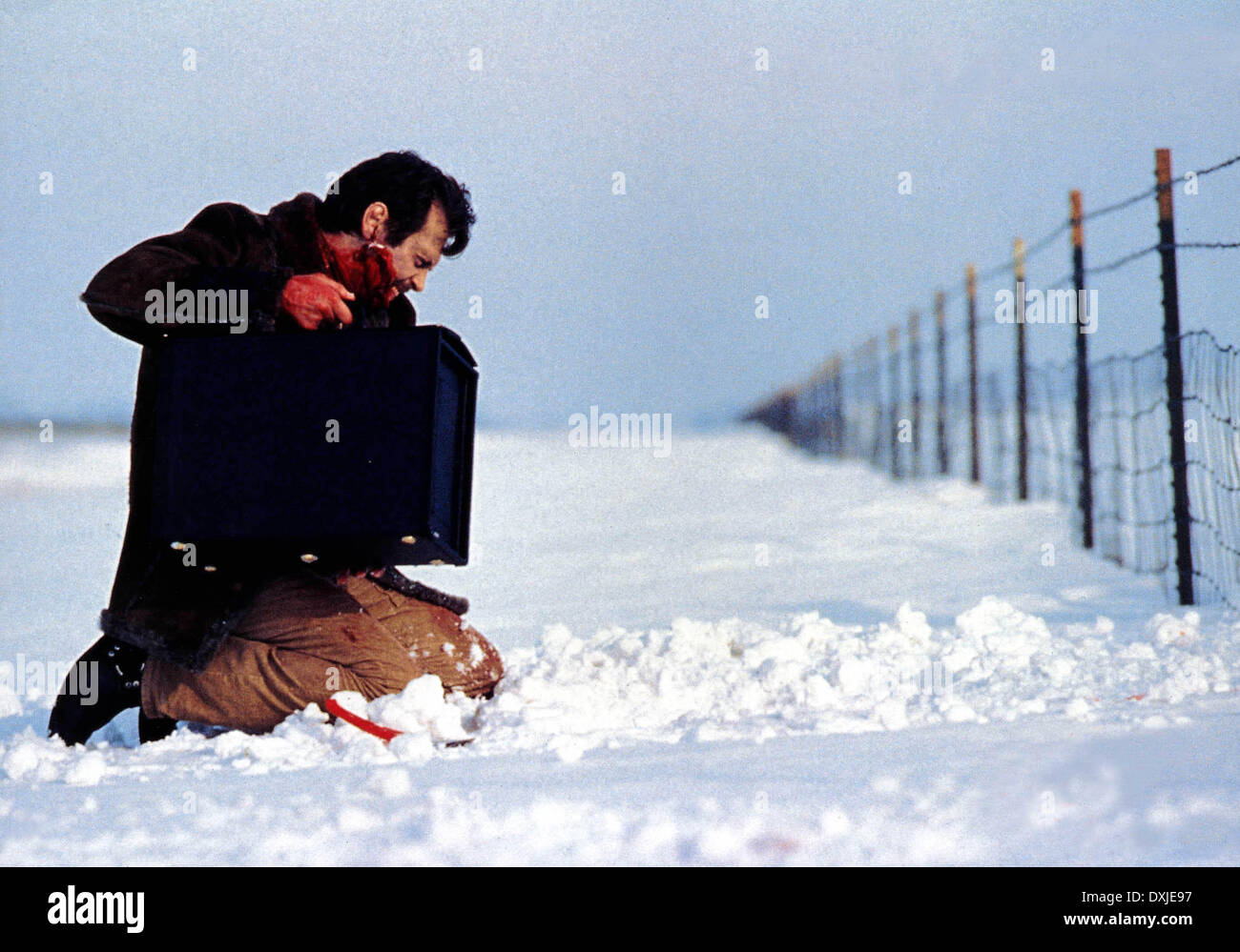 Steve buscemi fargo hi-res stock photography and images - Alamy
