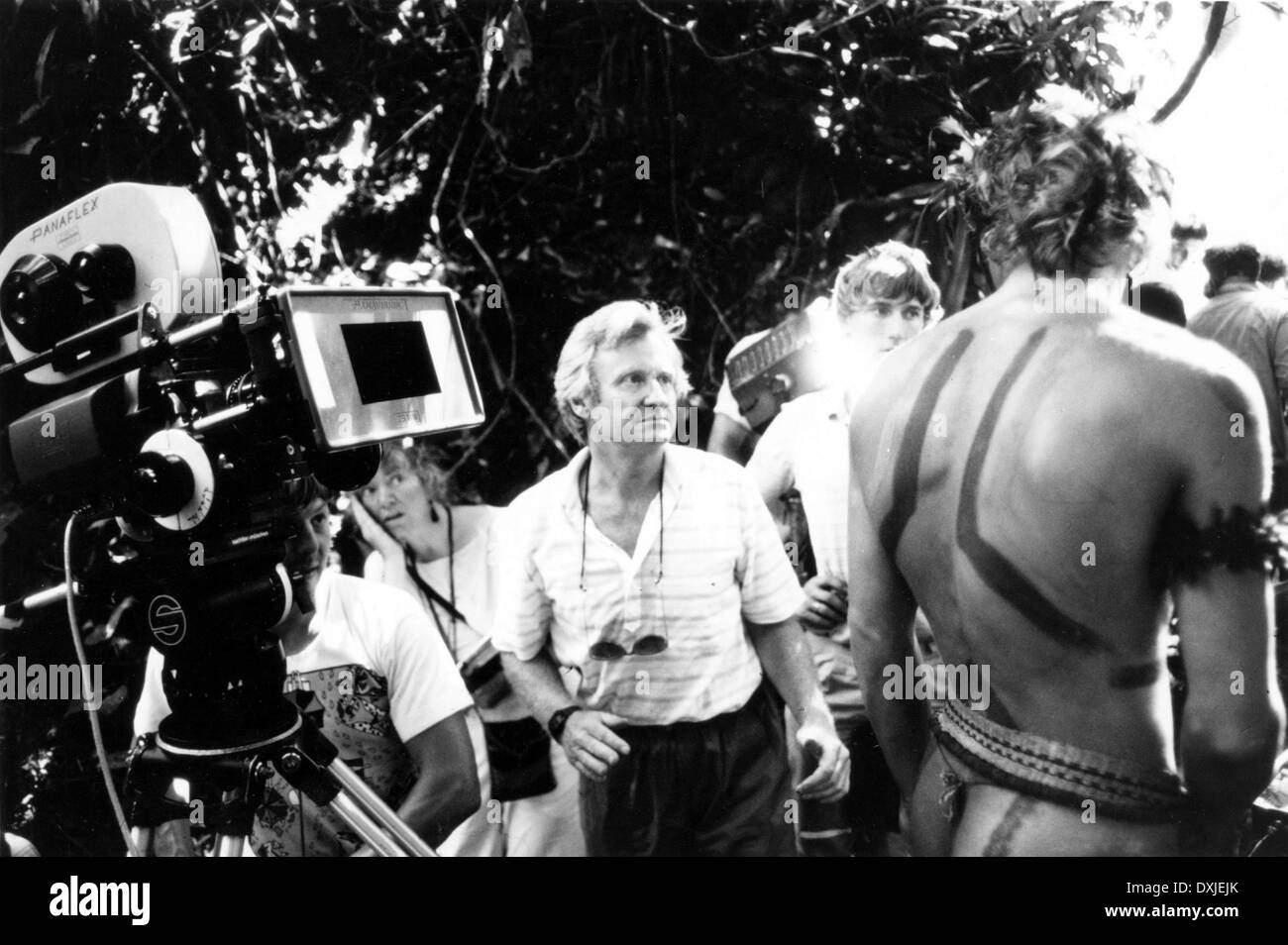 THE EMERALD FOREST Stock Photo - Alamy