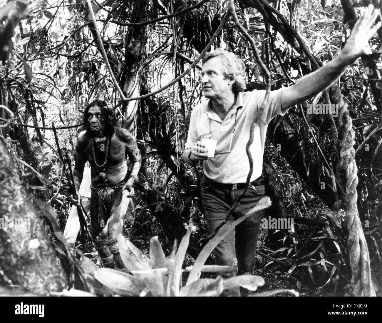 THE EMERALD FOREST Stock Photo - Alamy