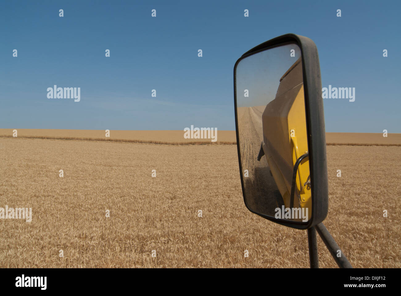 rear view mirror of combine harvester in field Stock Photo - Alamy