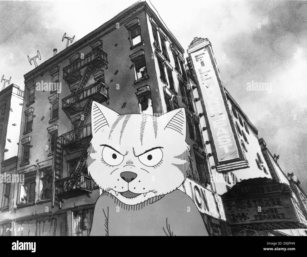 FRITZ THE CAT Stock Photo - Alamy