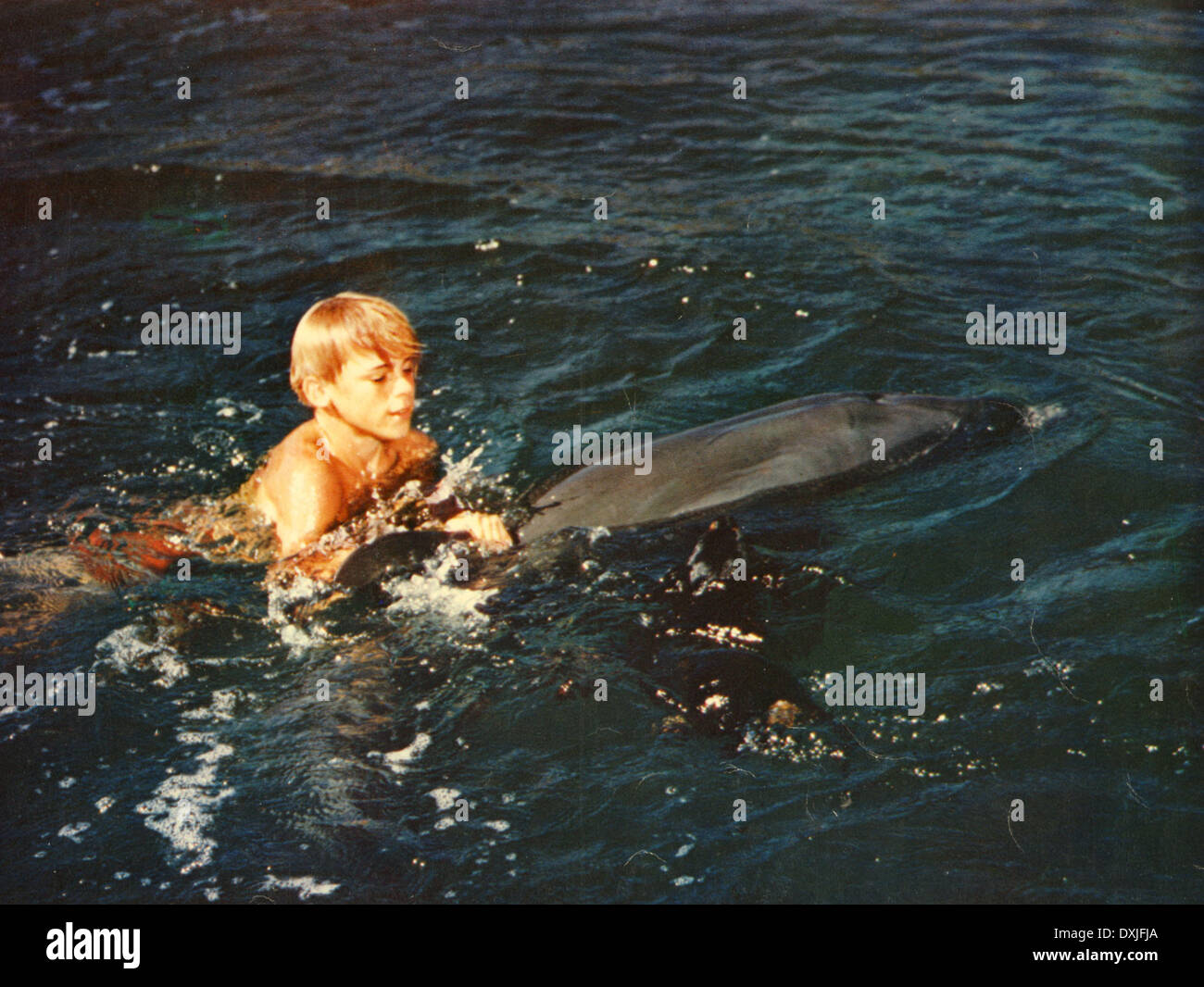 Luke halpin hi-res stock photography and images - Alamy