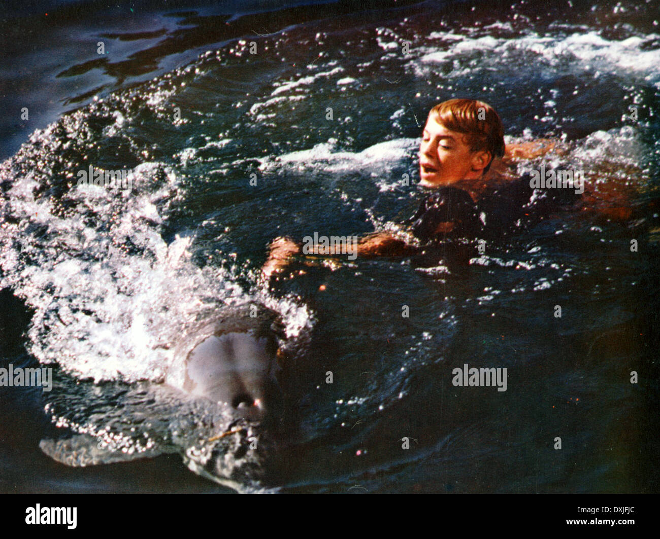 Flipper film hi-res stock photography and images - Alamy