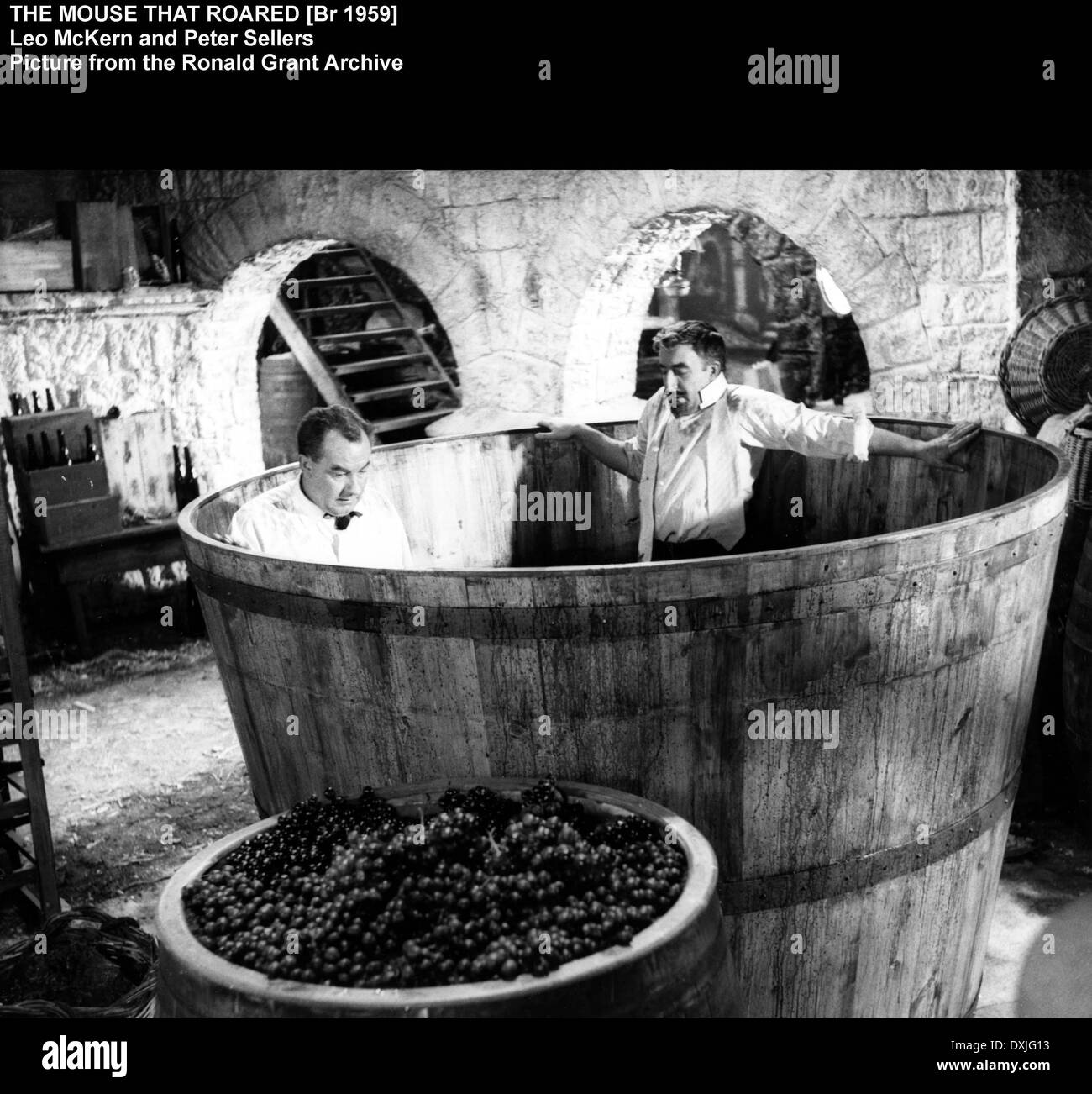 THE MOUSE THAT ROARED Stock Photo - Alamy