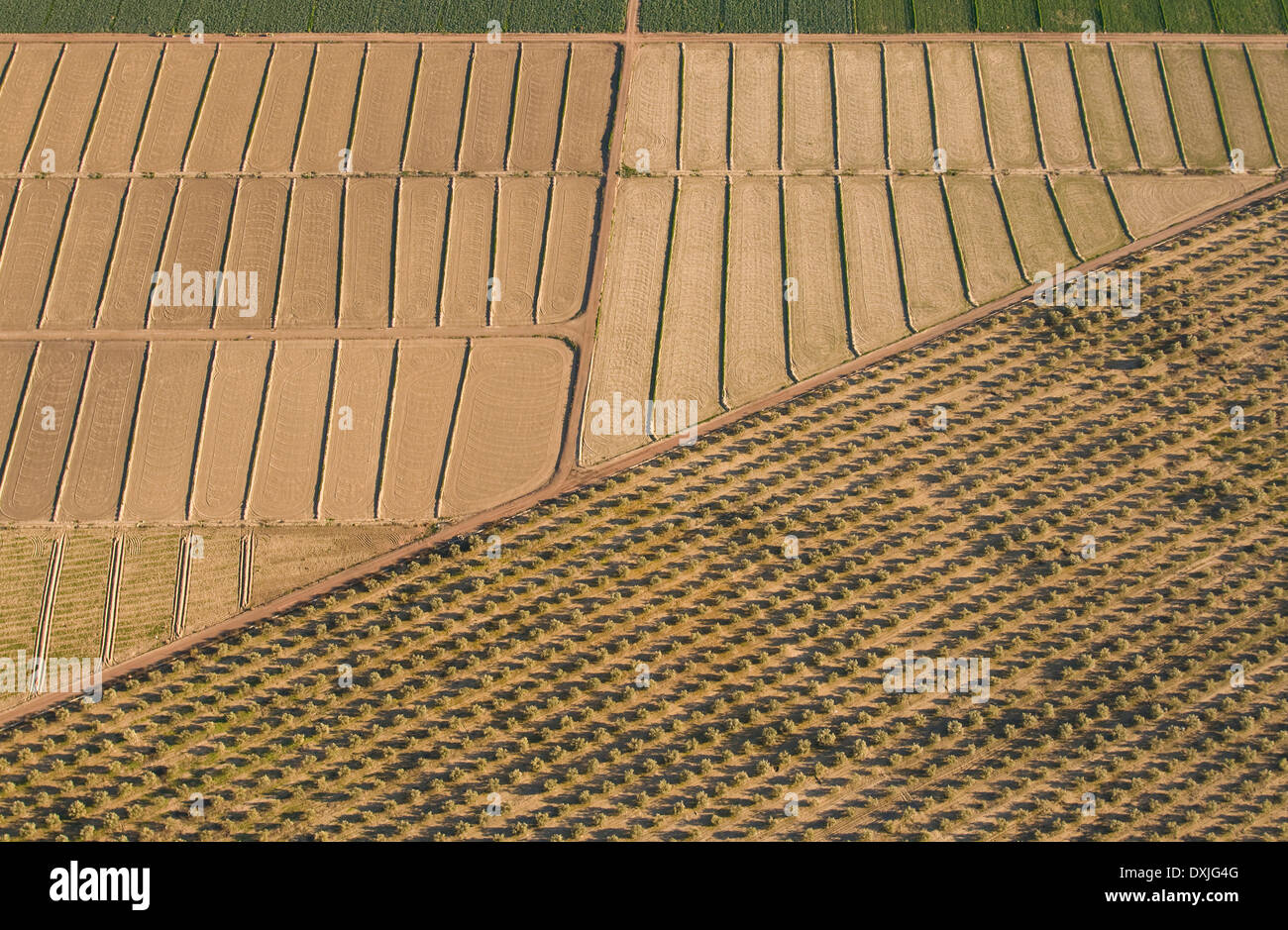 Patchwork fields hi-res stock photography and images - Alamy