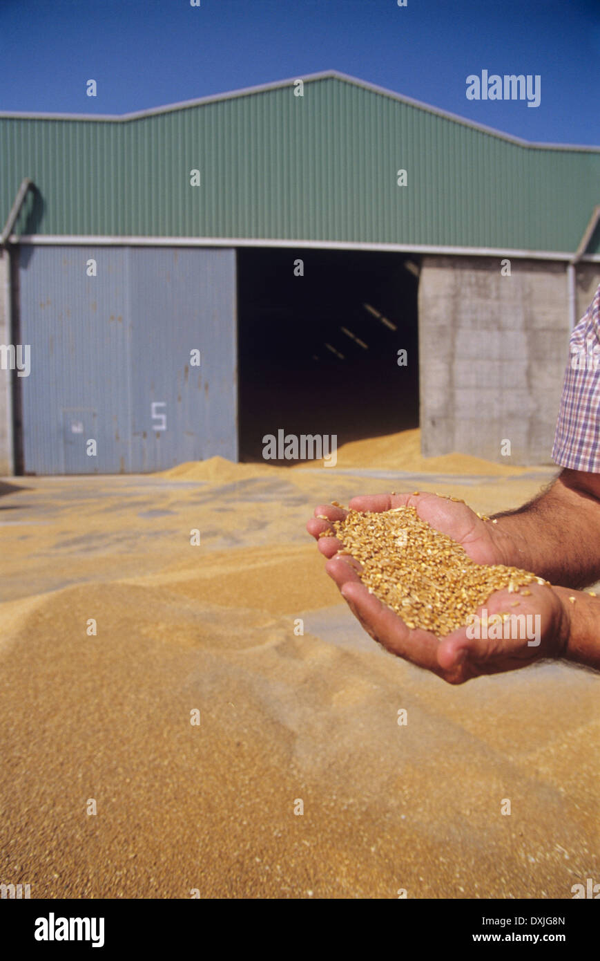Grain barn hi-res stock photography and images - Alamy