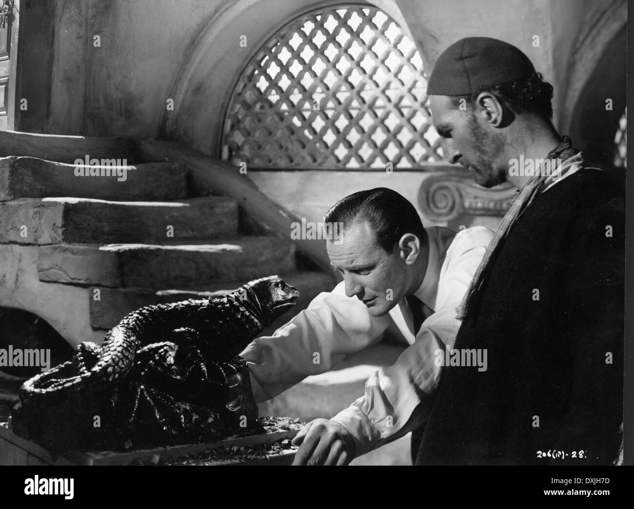 THE GOLDEN SALAMANDER Stock Photo - Alamy