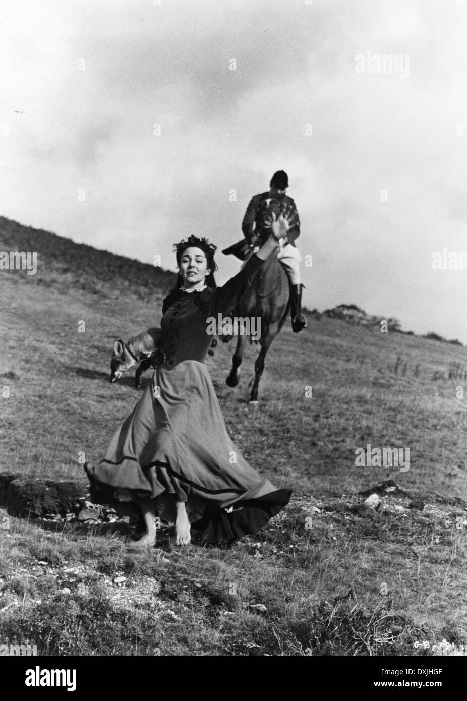 Gone to earth hi-res stock photography and images - Alamy