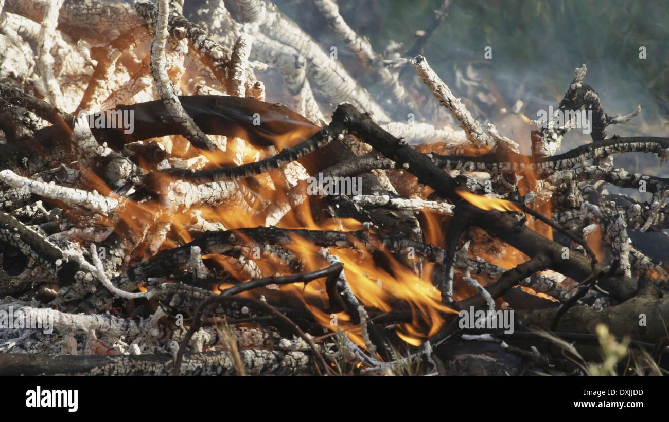 Archived content hi-res stock photography and images - Alamy