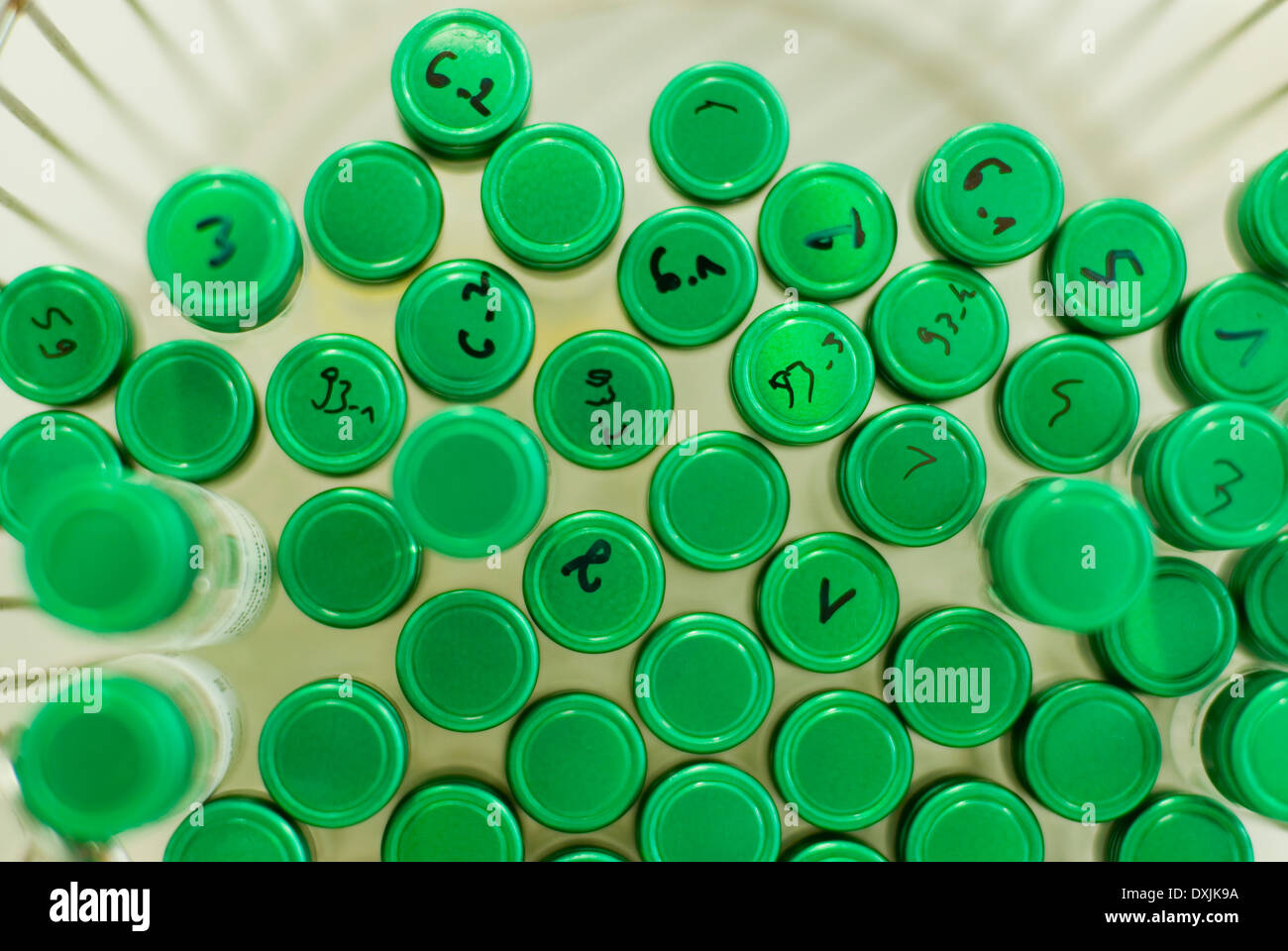 Green lids on test tubes Stock Photo - Alamy