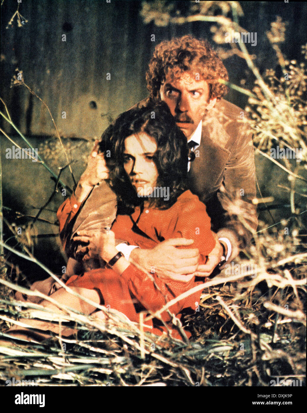 Invasion of the body snatchers hi-res stock photography and images - Alamy