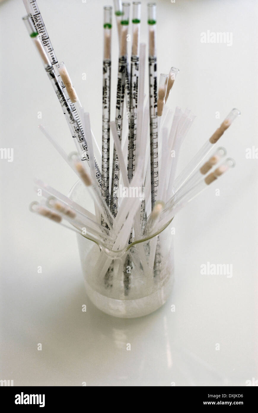 Test tubes in a beaker Stock Photo - Alamy