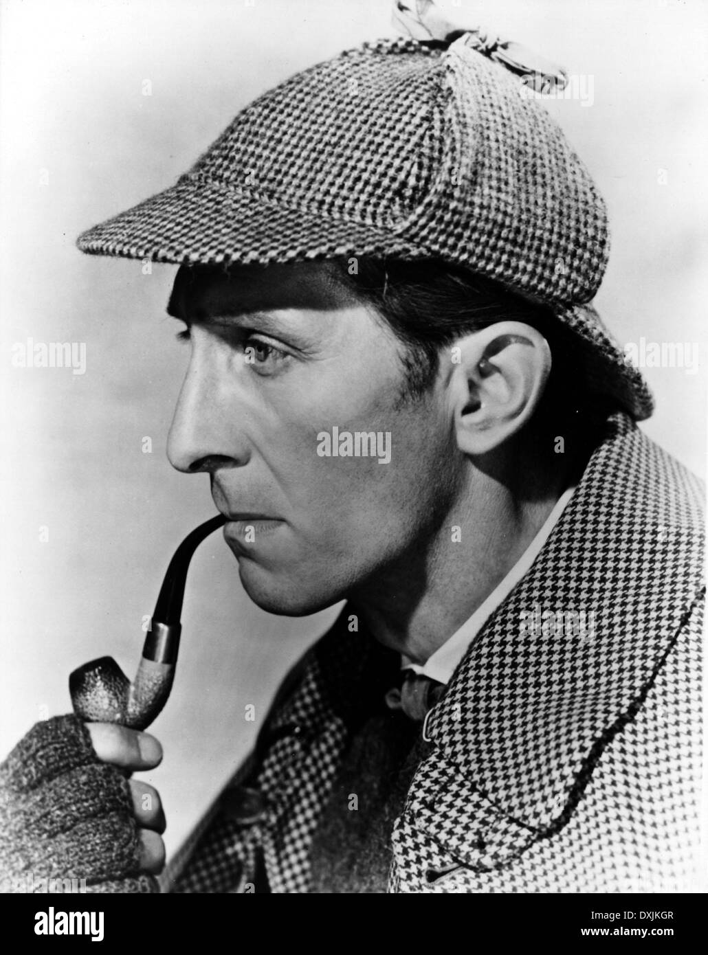 THE HOUND OF THE BASKERVILLES Stock Photo - Alamy