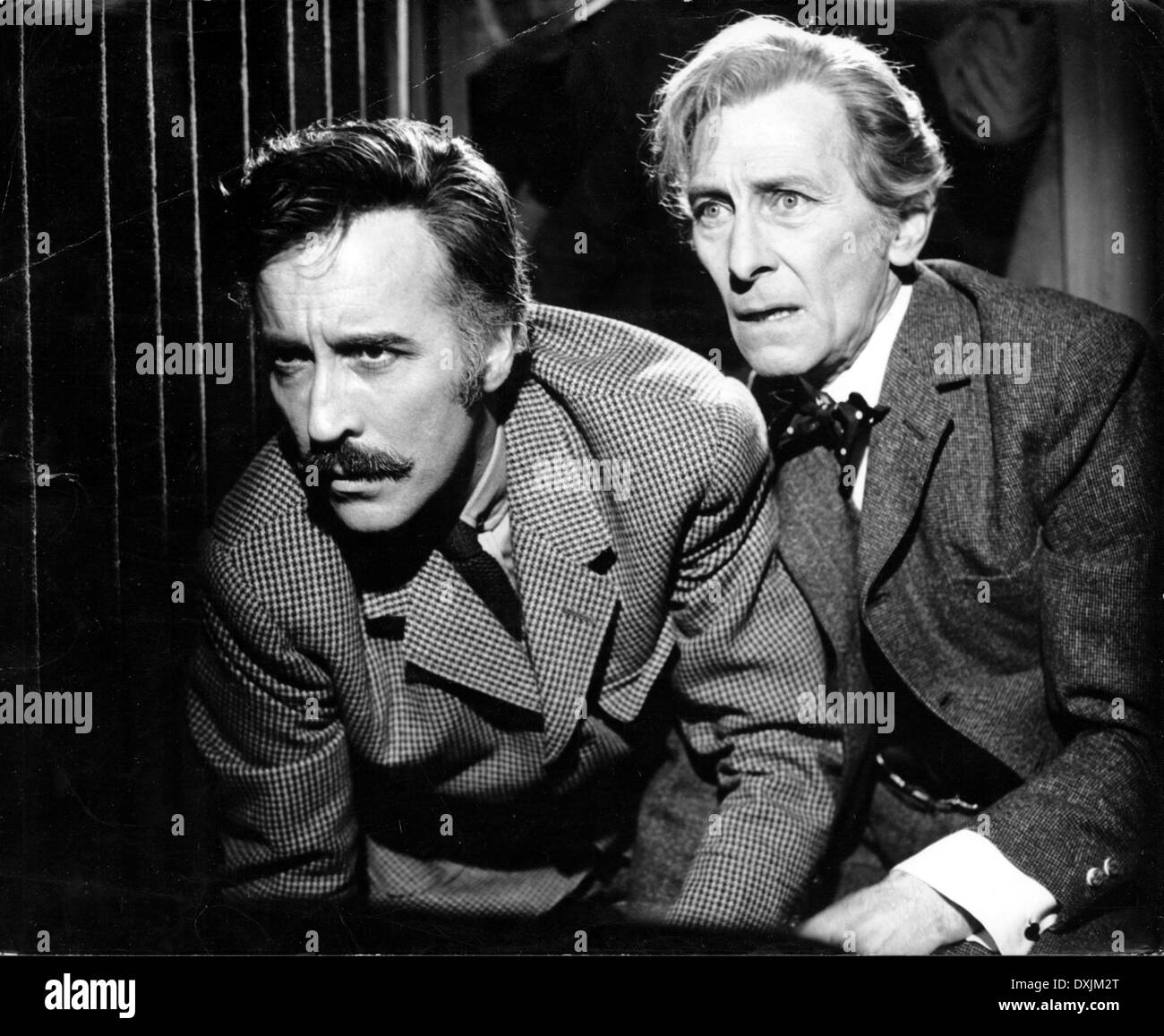 Horror express hi-res stock photography and images - Alamy