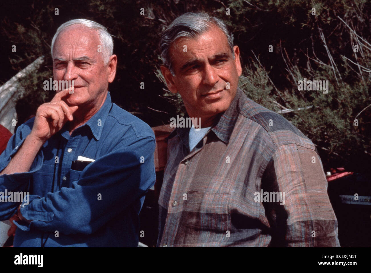 Surviving picasso hi-res stock photography and images - Alamy