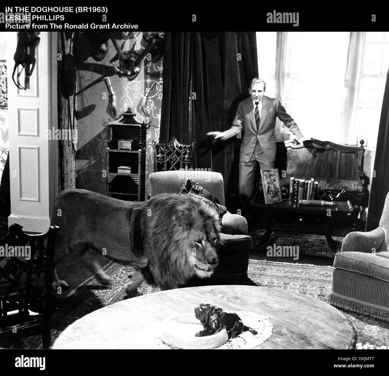 IN THE DOGHOUSE Stock Photo - Alamy