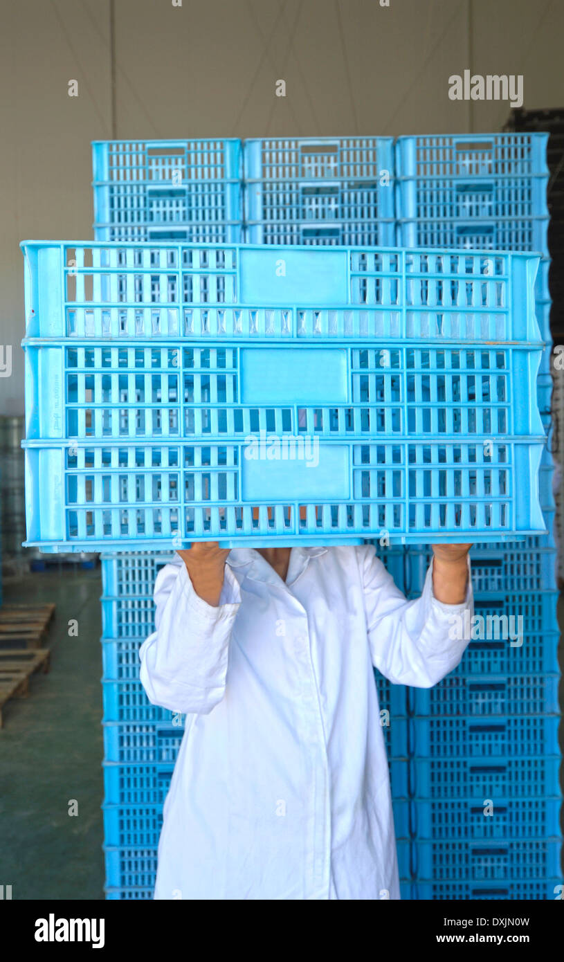 Woman holding crates in front of face Stock Photo - Alamy