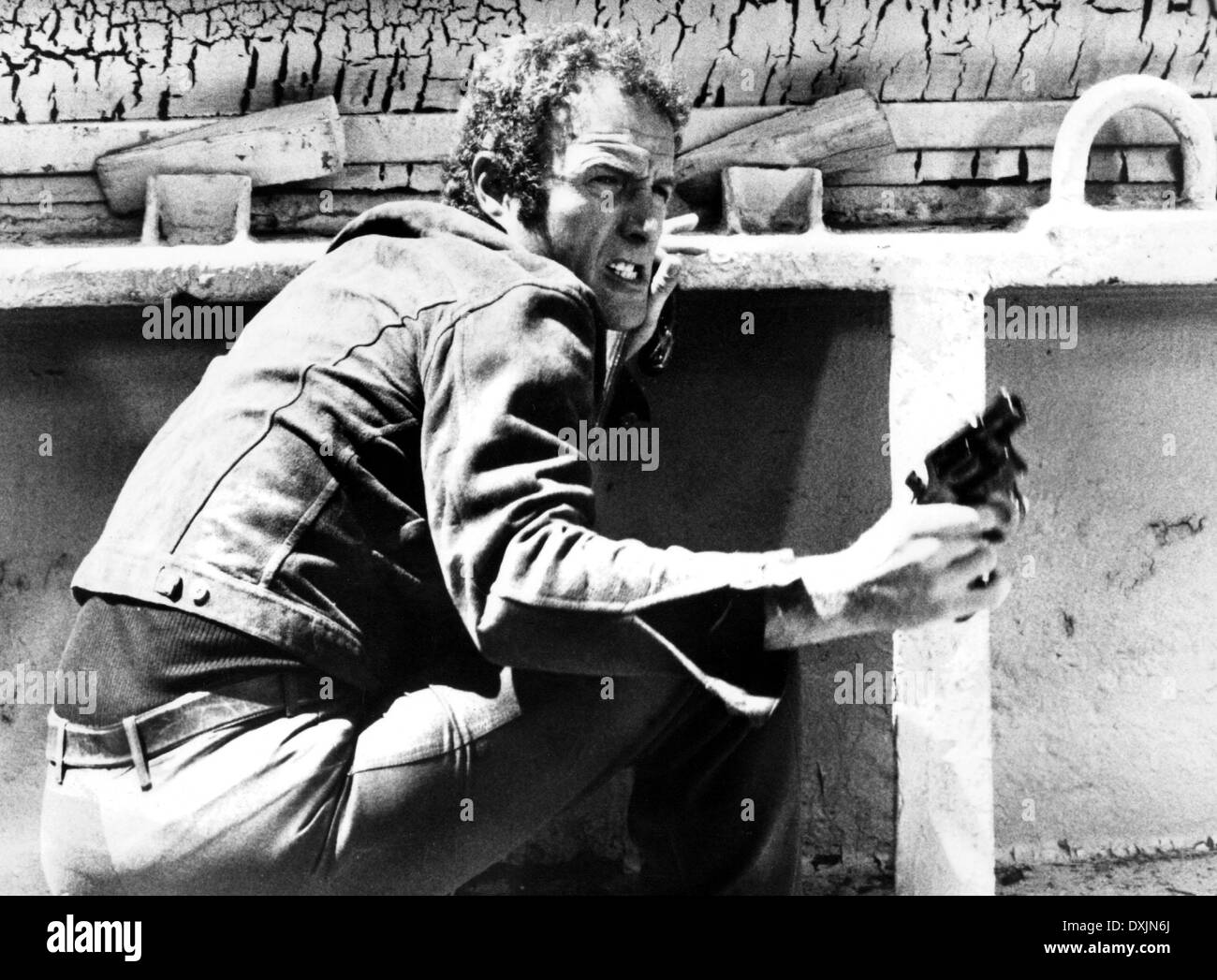 Killer Elite, The (1975) Directed by Sam Peckinpah James Caa Stock ...