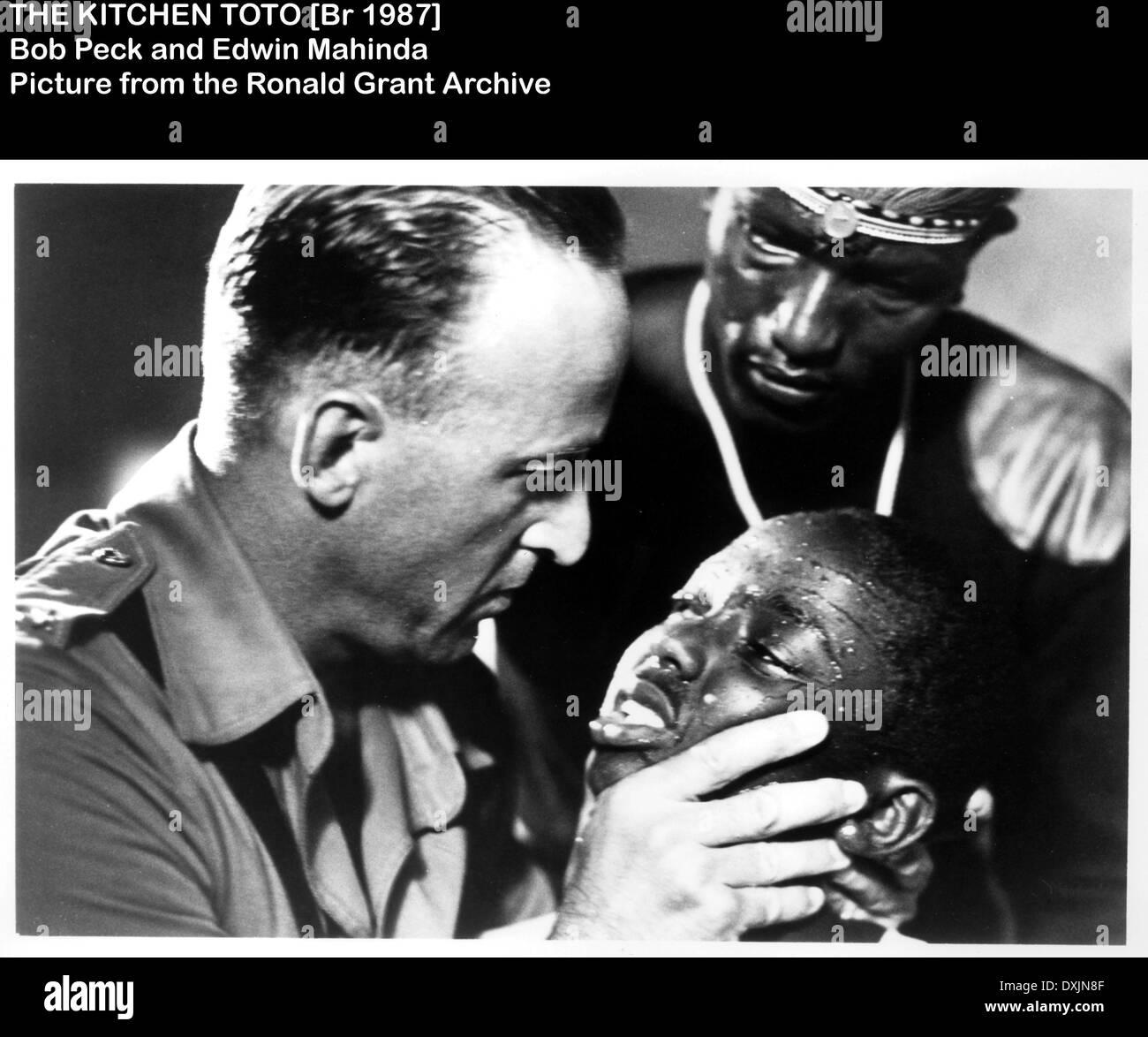 THE KITCHEN TOTO Stock Photo - Alamy