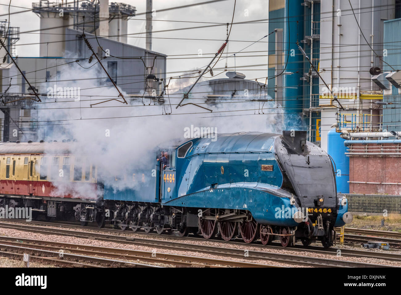 LNER Class A4 4464 Bittern steam locomotive hauls The Cambrian Ranger ...