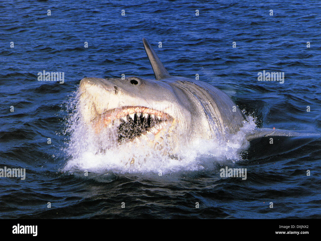 JAWS THE REVENGE Stock Photo - Alamy