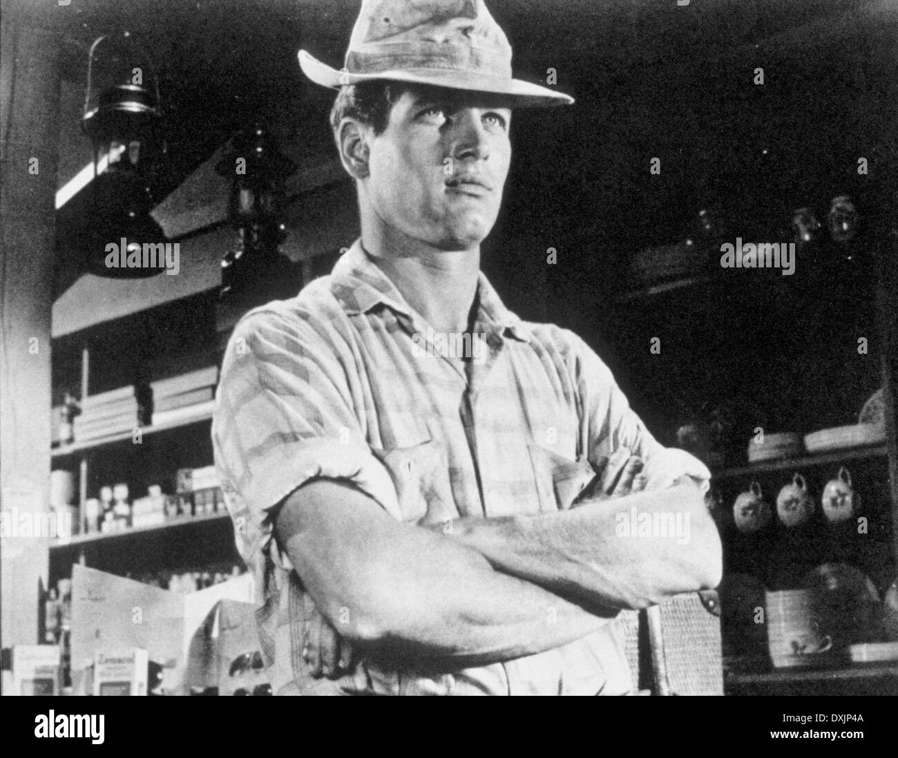 Long picture Black and White Stock Photos & Images - Alamy