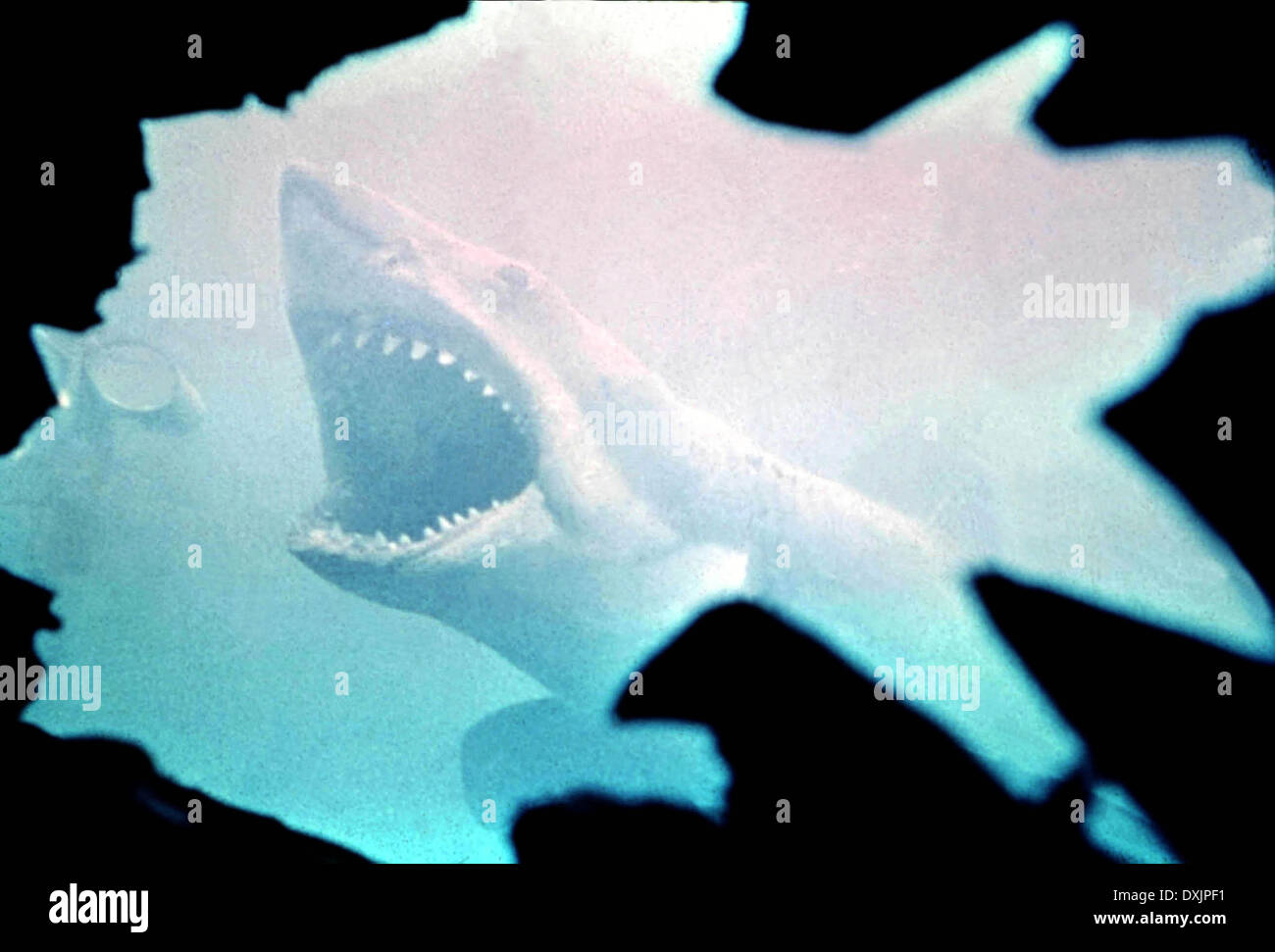 Jaws film still hi-res stock photography and images - Alamy