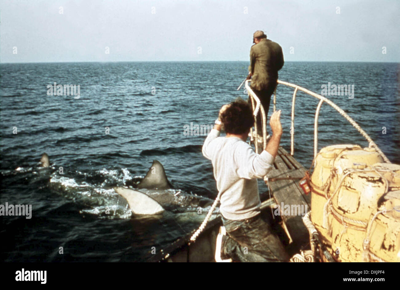 Robert Shaw And Jaws 1975 High Resolution Stock Photography and Images - Alamy
