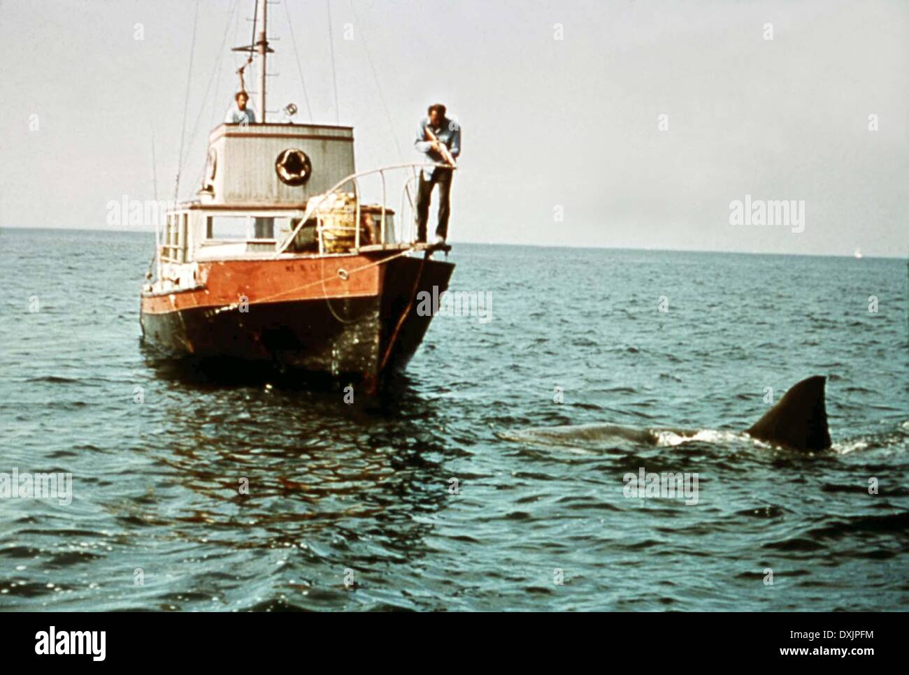 JAWS, 1975, Film, Movie Stock Photo - Alamy