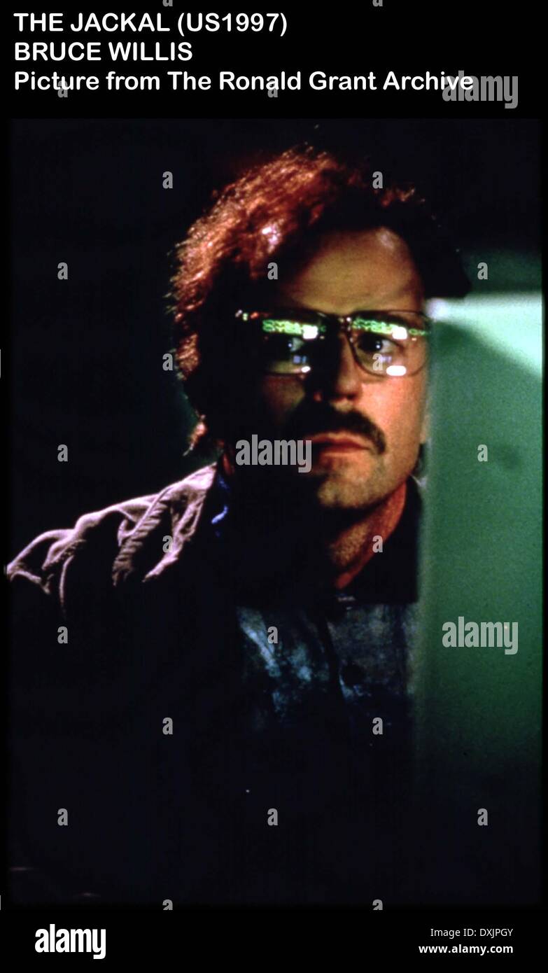 THE JACKAL Stock Photo - Alamy