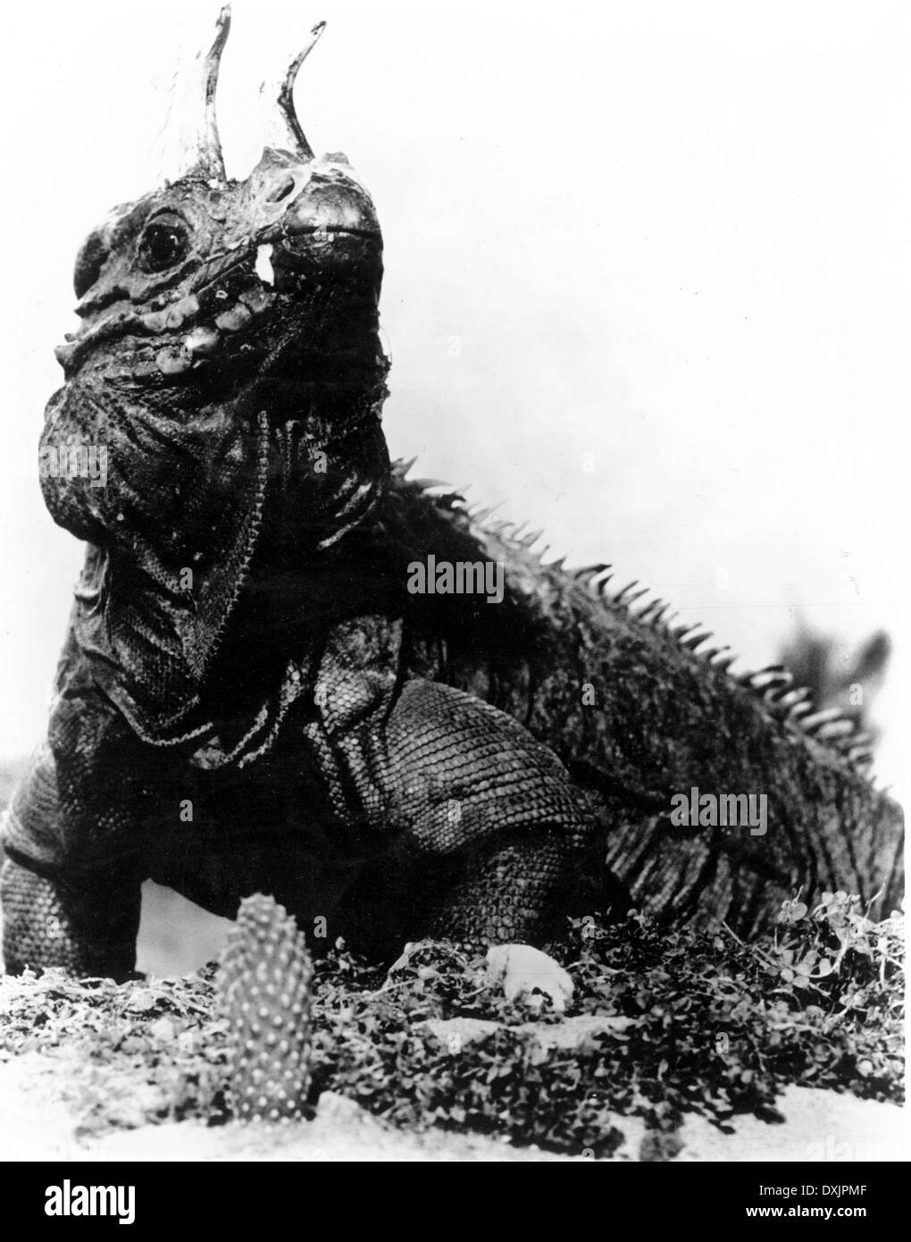 Lost world hi-res stock photography and images - Alamy