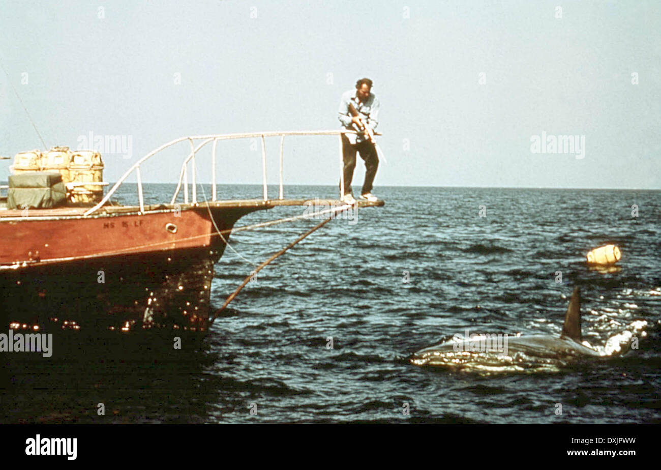 JAWS, 1975, Film, Movie Stock Photo - Alamy