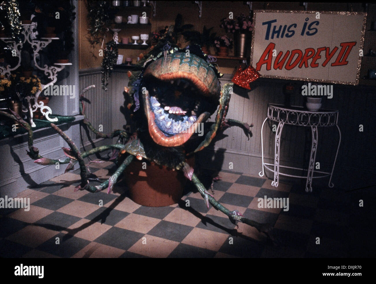 THE LITTLE SHOP OF HORRORS Stock Photo - Alamy