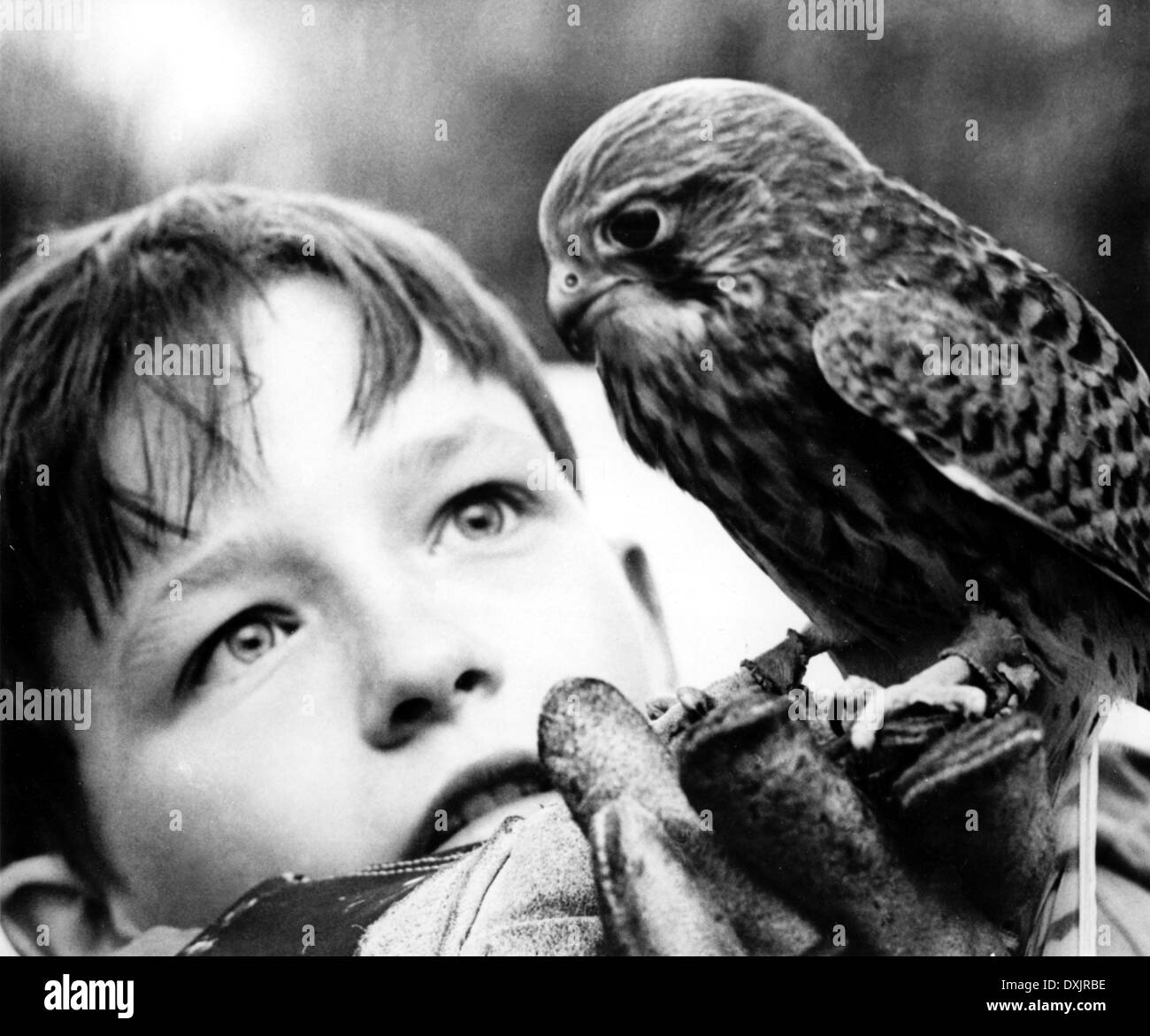 Kes 1969 david bradley Black and White Stock Photos & Images - Alamy