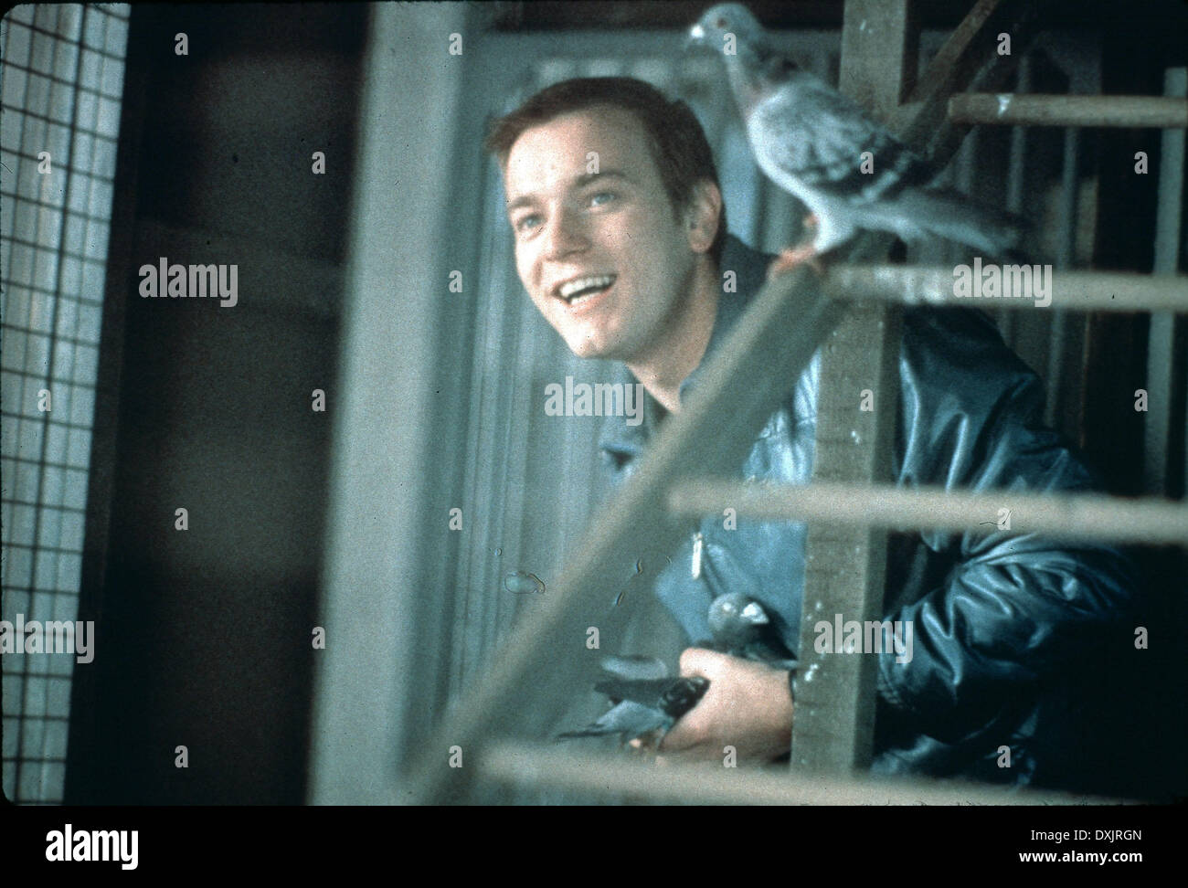 Little voice ewan mcgregor hi-res stock photography and images - Alamy