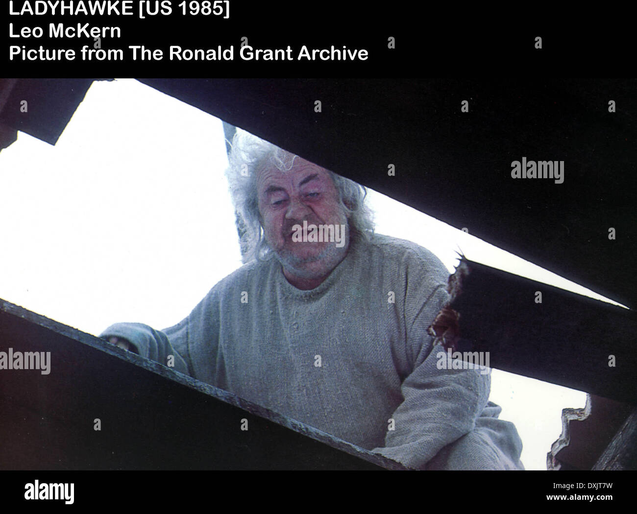 Ladyhawke hi-res stock photography and images - Alamy