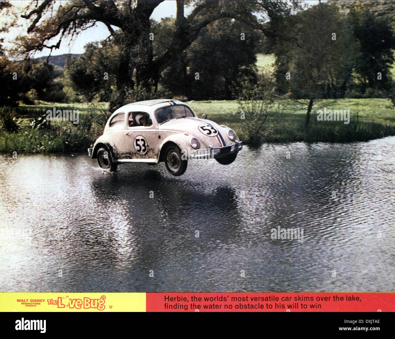 THE LOVE BUG Stock Photo - Alamy