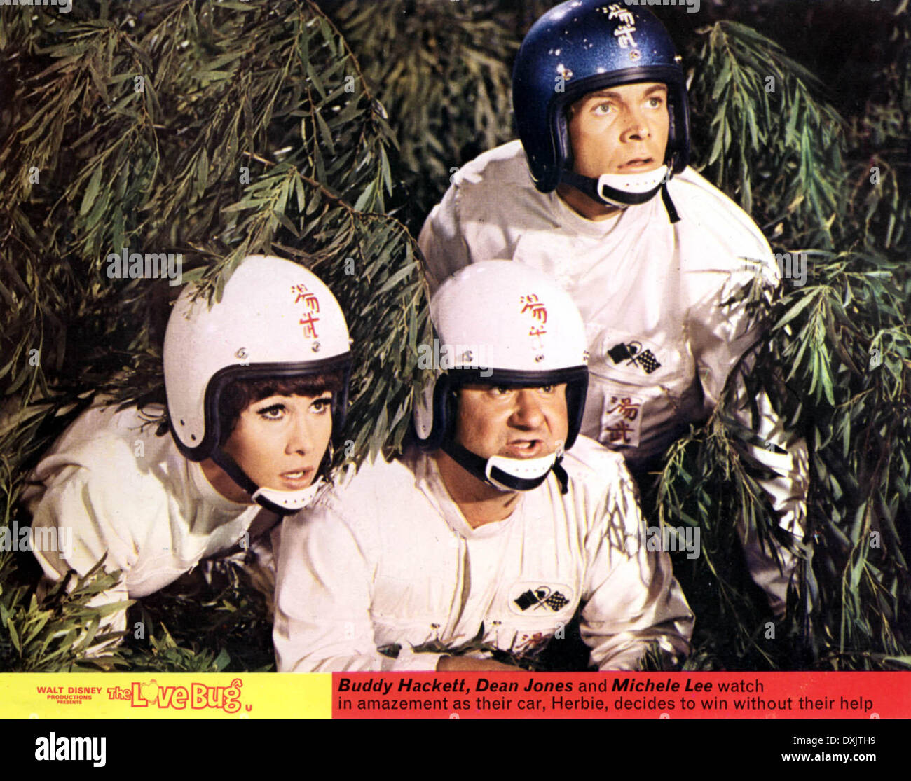 THE LOVE BUG Stock Photo - Alamy