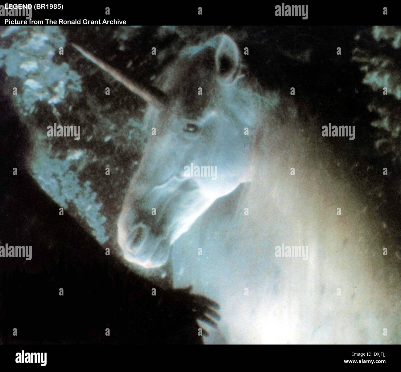 Legend 1985 hi-res stock photography and images - Alamy