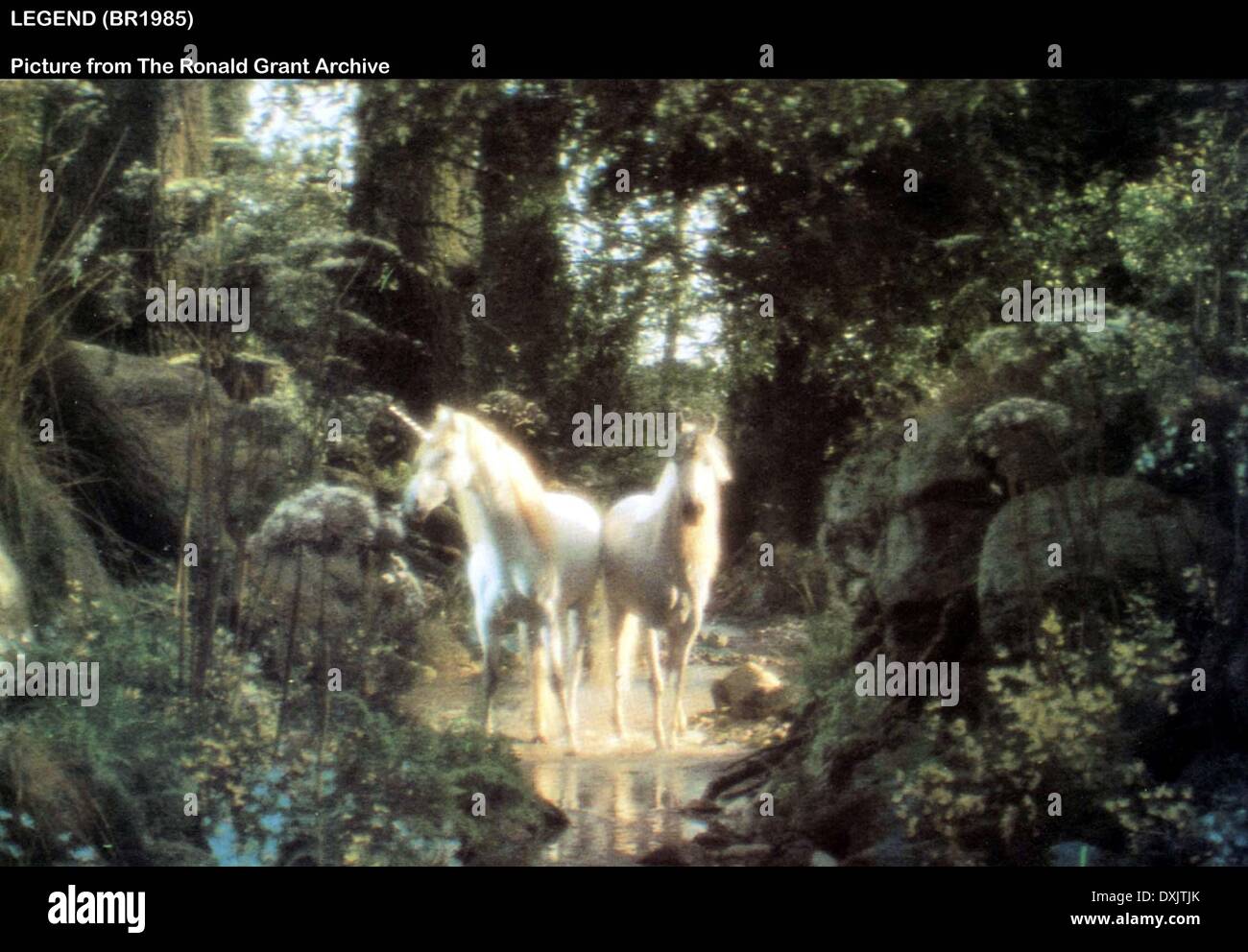 Legend 1985 hi-res stock photography and images - Alamy