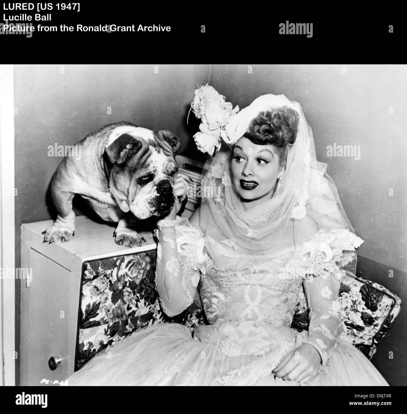 Lured High Resolution Stock Photography and Images - Alamy